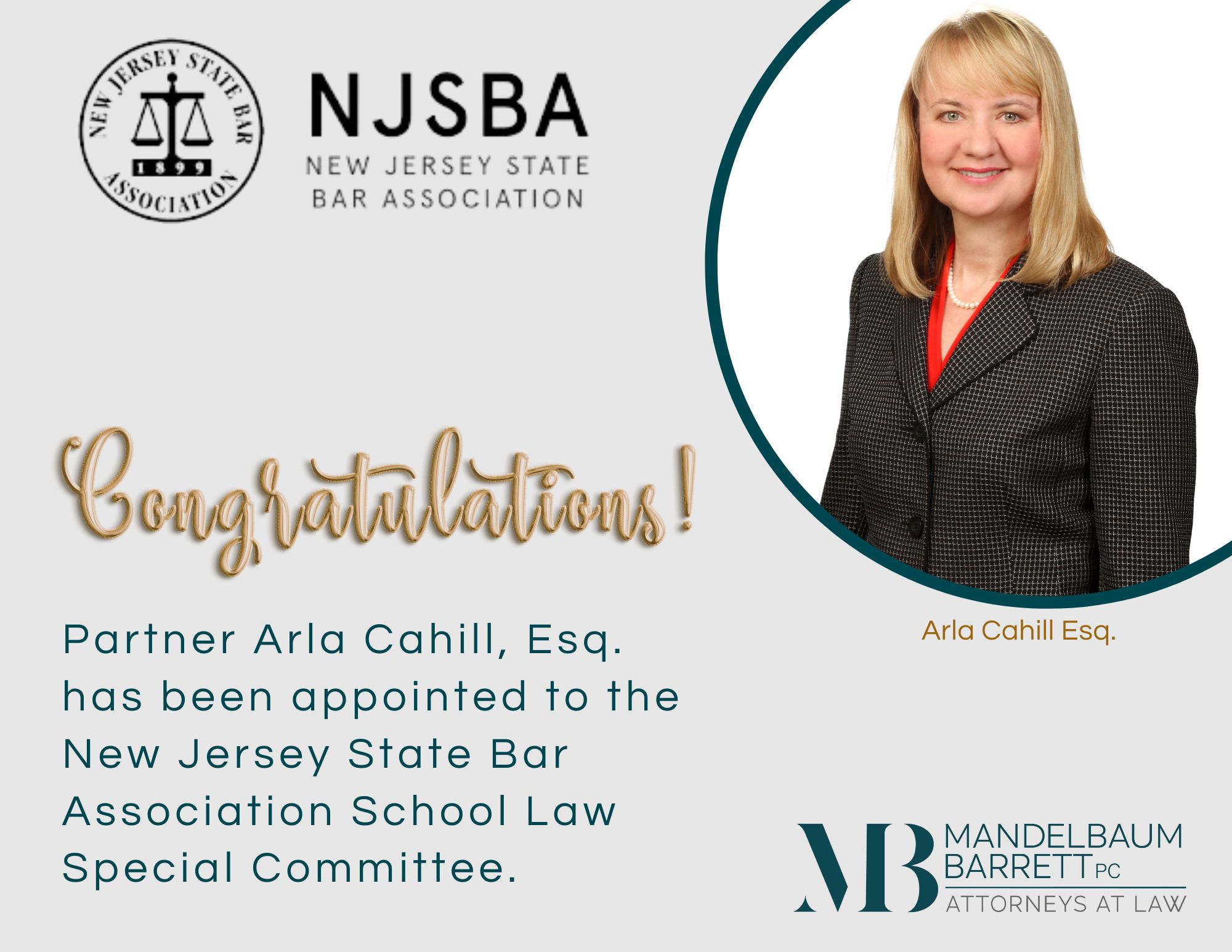 Partner Arla Cahill, Esq. has been appointed to the New Jersey State Bar Association School Law ...