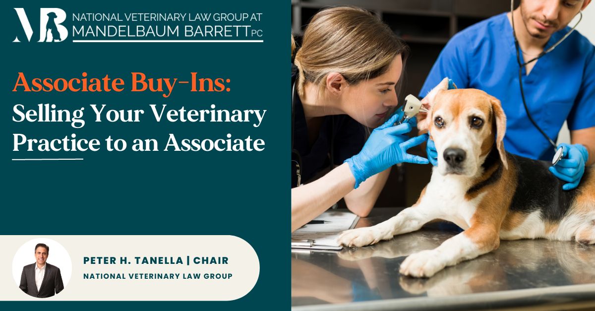 Associate Buy-Ins: Selling Your Veterinary Practice to an Associate ...