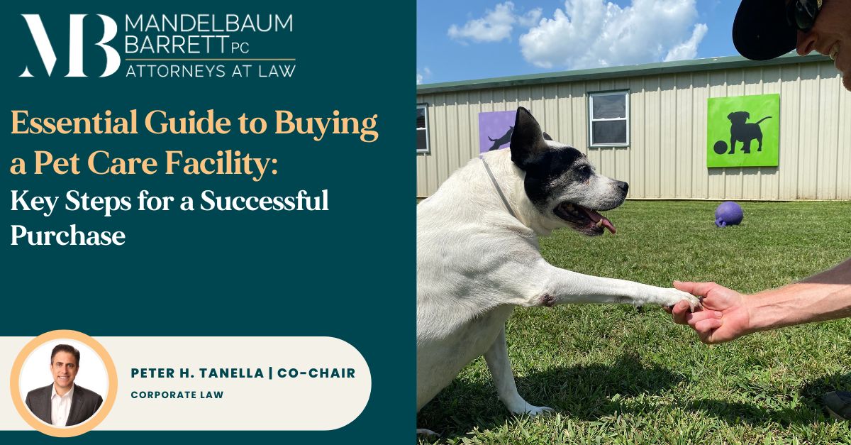 Essential Guide to Buying a Pet Care Facility: Key Steps for a ...
